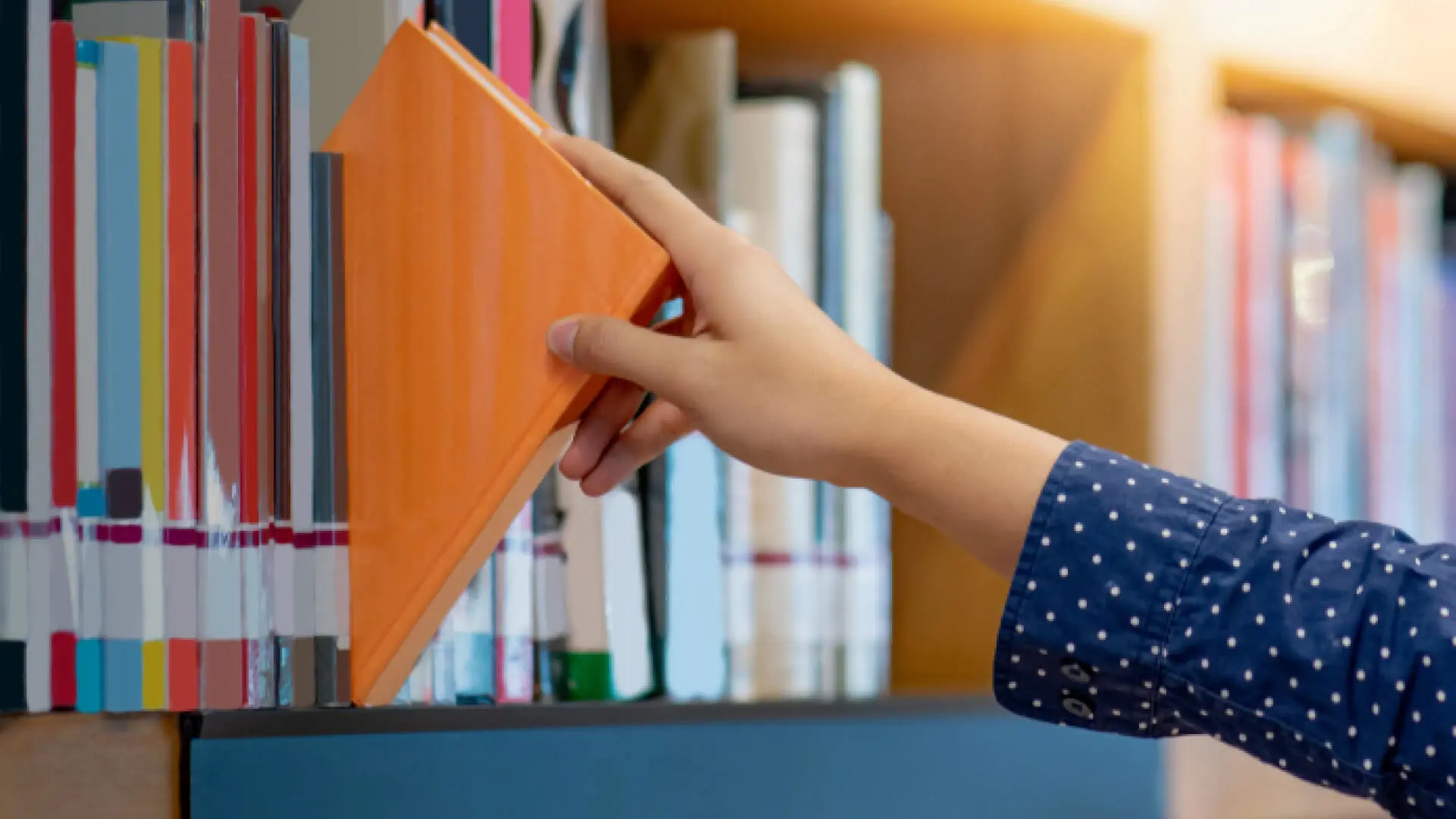 What is information management? | APM