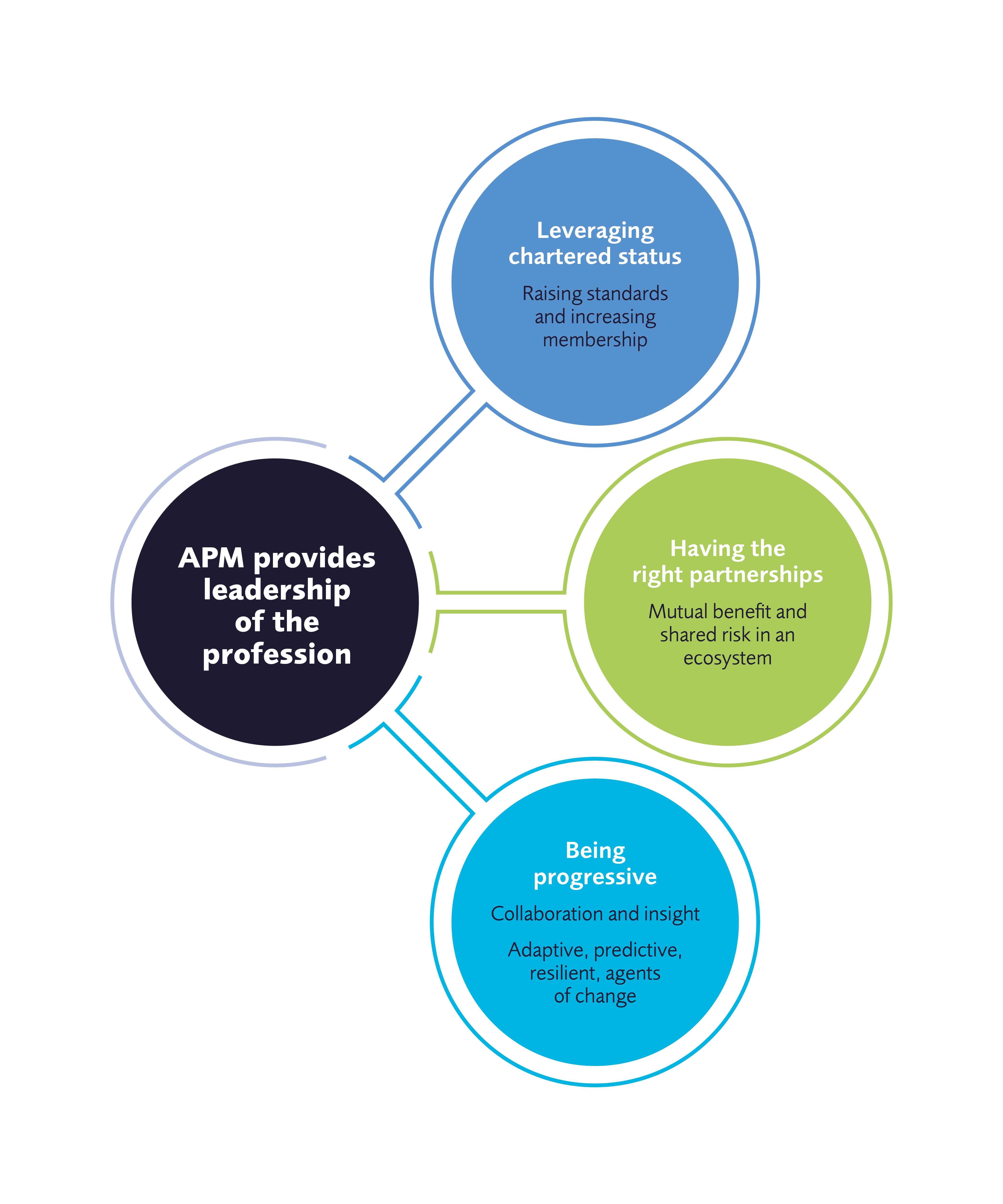 Inspiring positive change - APM strategy